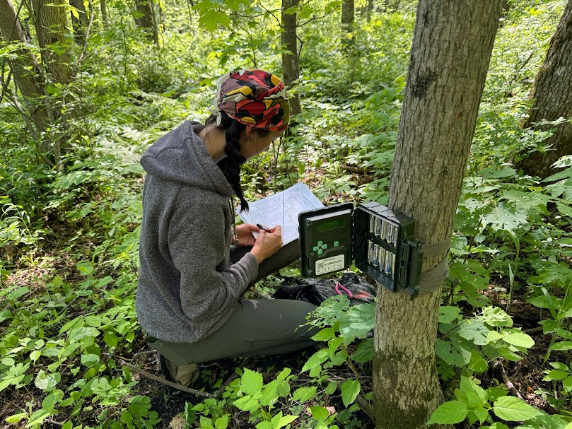 Soundscape Baselines Project – Baraboo Hills Ecology Research Collective